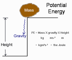 Kinetic & Potential Energy MS WB Quiz - FSI Courses