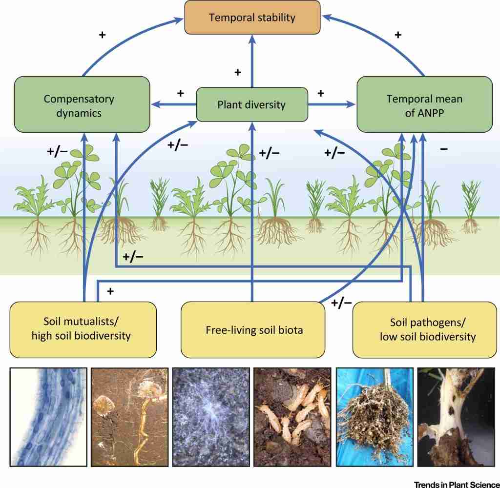 GA Inspire Biology Unit 5 - Stability & Change in Ecosystems - FSI Courses